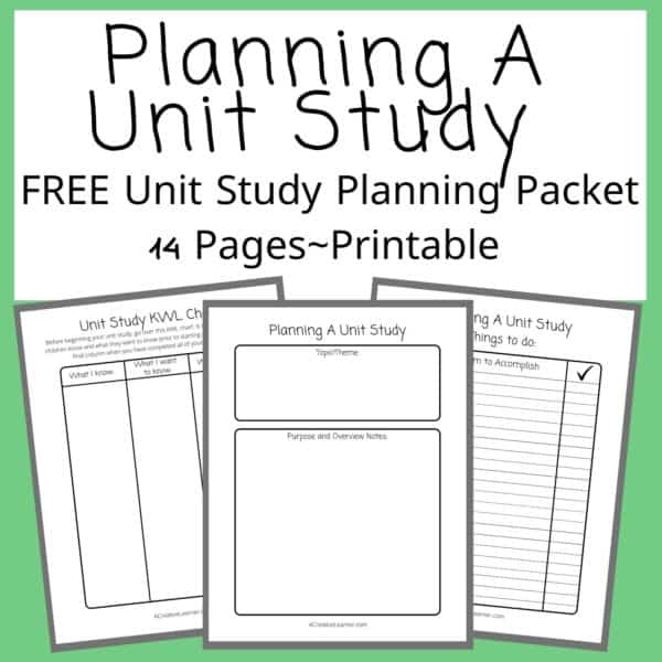 Store - A Creative Learner