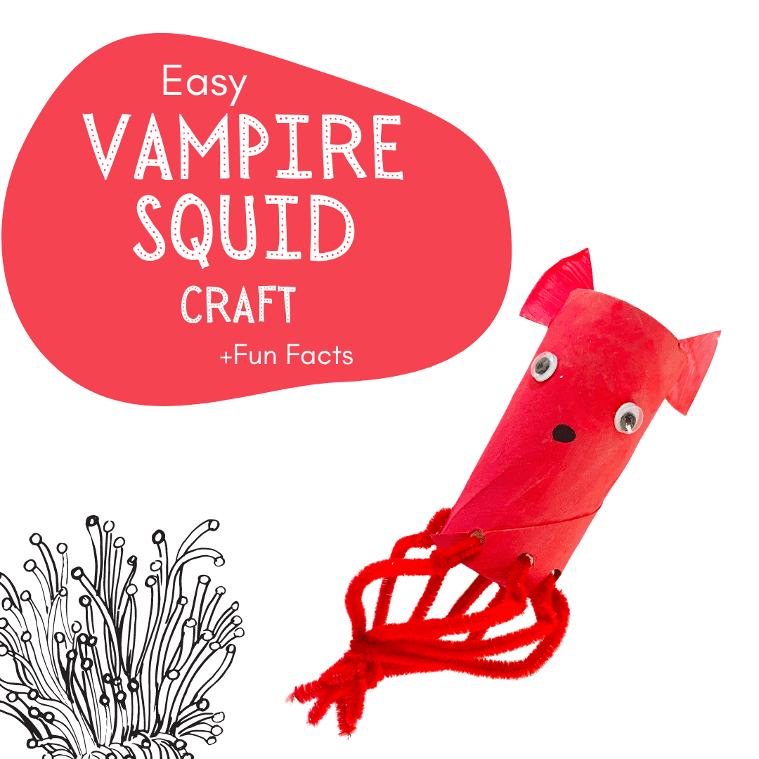 Vampire Squid Craft - Midnight Zone Marine Biology