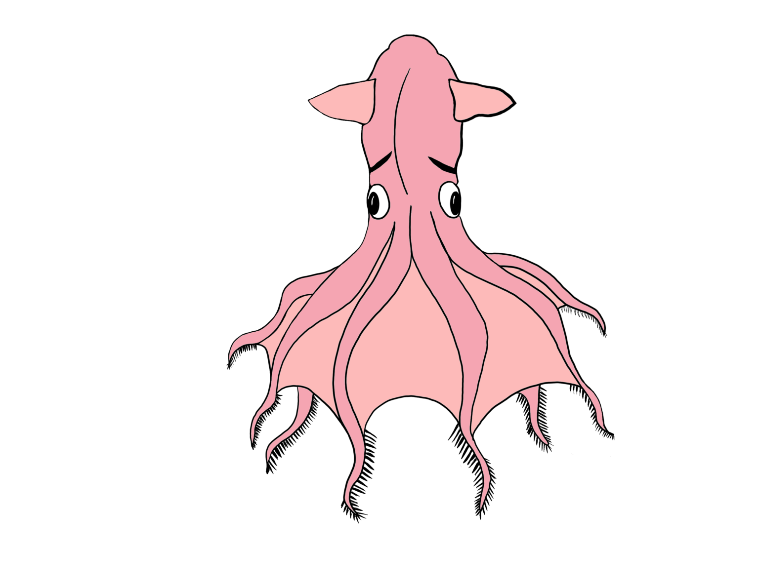 Vampire Squid Craft - Midnight Zone Marine Biology